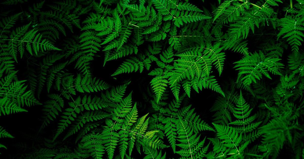 What is RIAA certification?